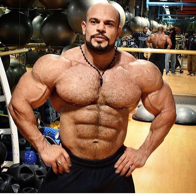 Wow ... @arabian.stallion - Bodybuilding Gold