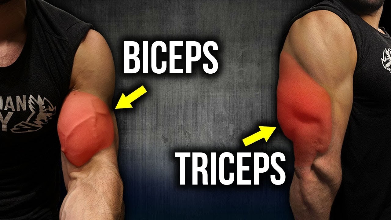 5 Killer Biceps And Triceps Exercises Full Big Arms Workout