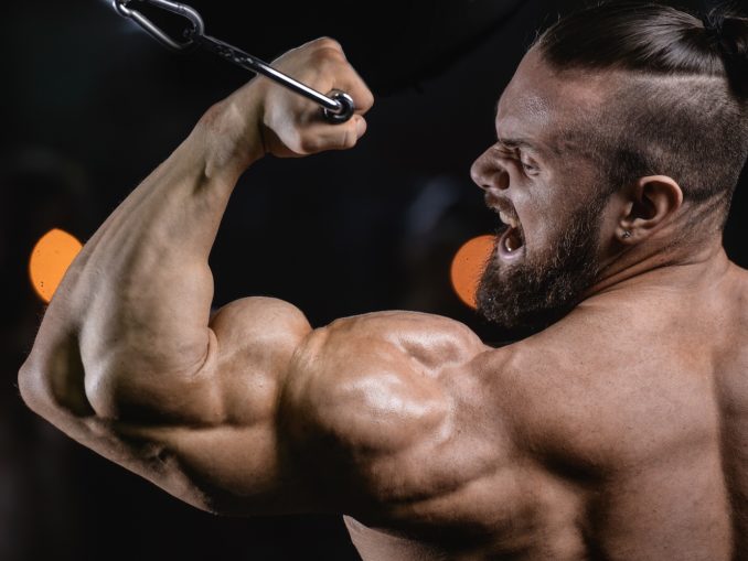 Get bigger biceps - Maximise your results - Bodybuilding Gold