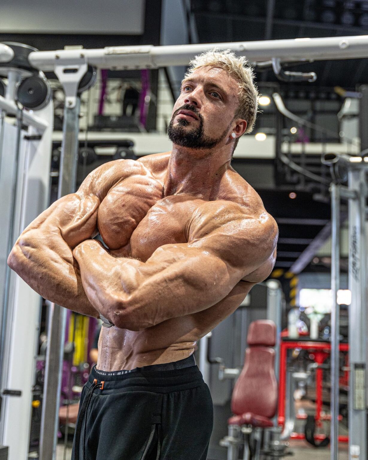 Remembering Jo Lindner: A Fitness Icon Lost Too Soon - Bodybuilding Gold